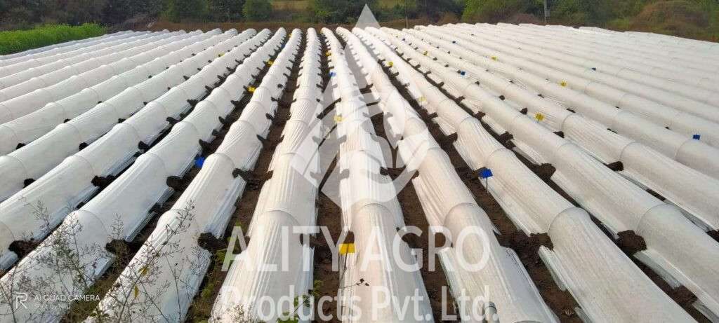 Crop Protection Cover – Ality Agro
