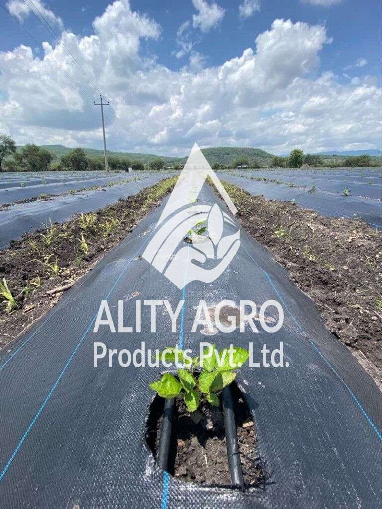 Weed Mat – Ality Agro
